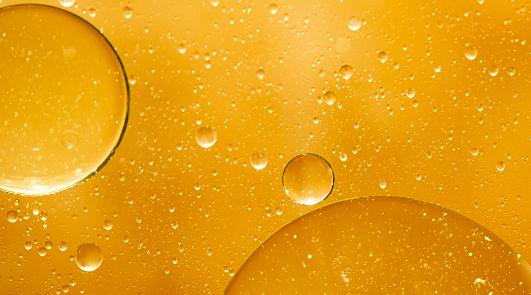 Coenzyme Q10: The Latest Ingredient to Skin Firmness – HIBO